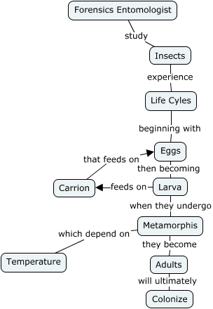 Forensics Entomology